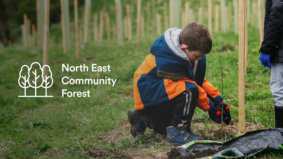 Communities mark 50 years of National Tree Week - North East Community ...